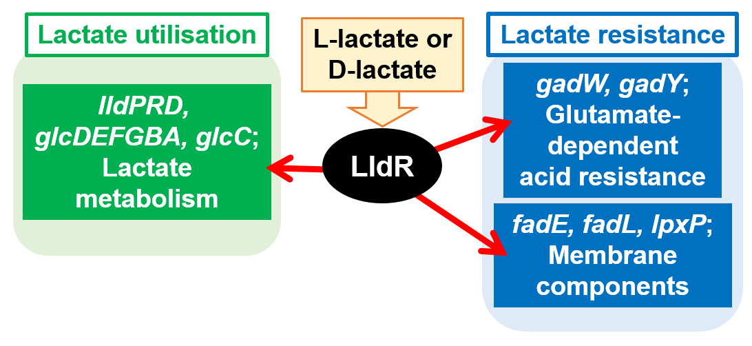 master | 2023年6月6日